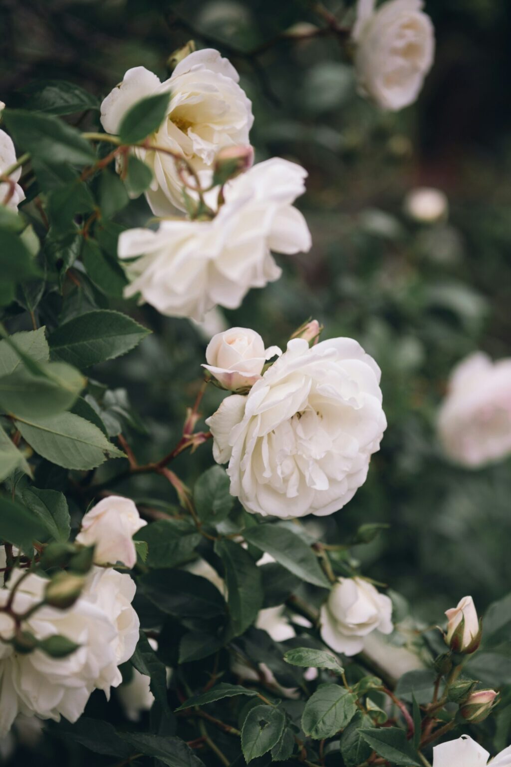 Examples of Gaslighting in a Relationship and How to Respond | Allen ...